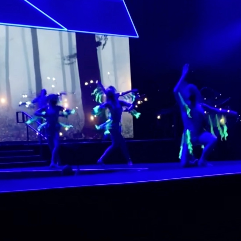 Firefly Props - Enlighted Designs