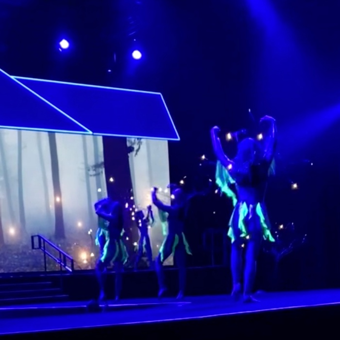 Firefly Props - Enlighted Designs